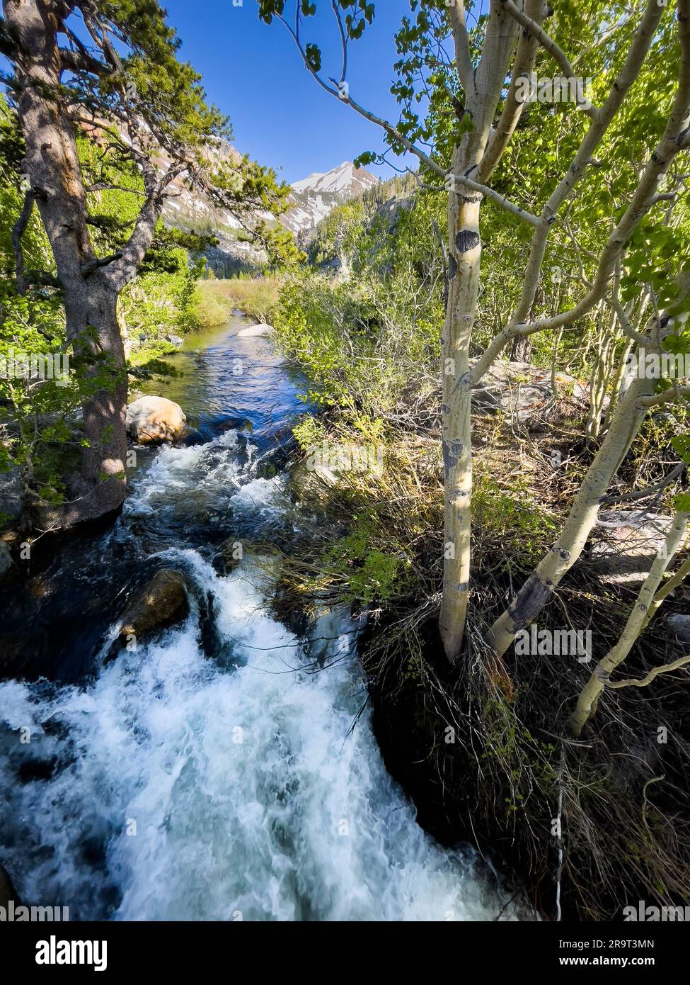 Tyee lakes trail hi-res stock photography and images - Alamy