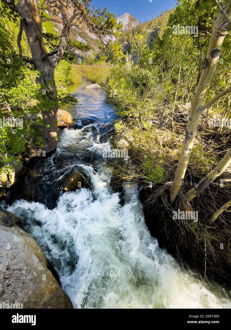 Tyee lakes trail hi-res stock photography and images - Alamy