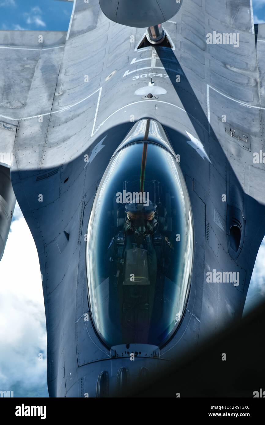 The pilot of an F-16 from the 169th Fighter Wing in South Carolina ...