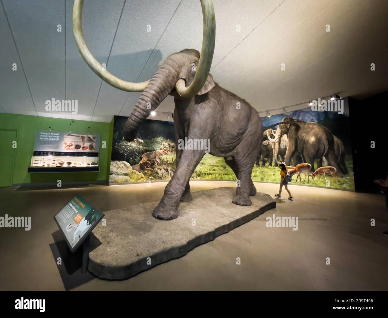 Animals trapped in la brea tar pits hi-res stock photography and images ...