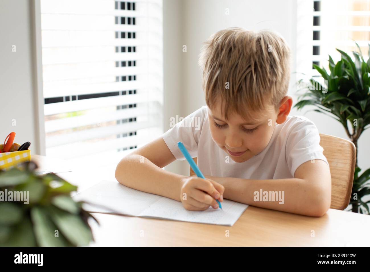 Cute boy doing school homework at home. Distance education. Online ...