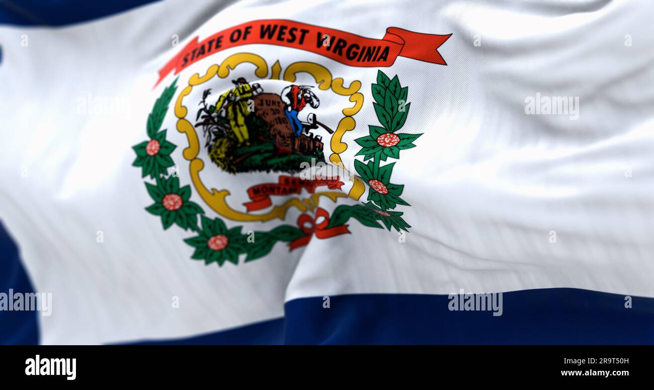 Close-up of West Virginia state flag waving in the wind. White field ...