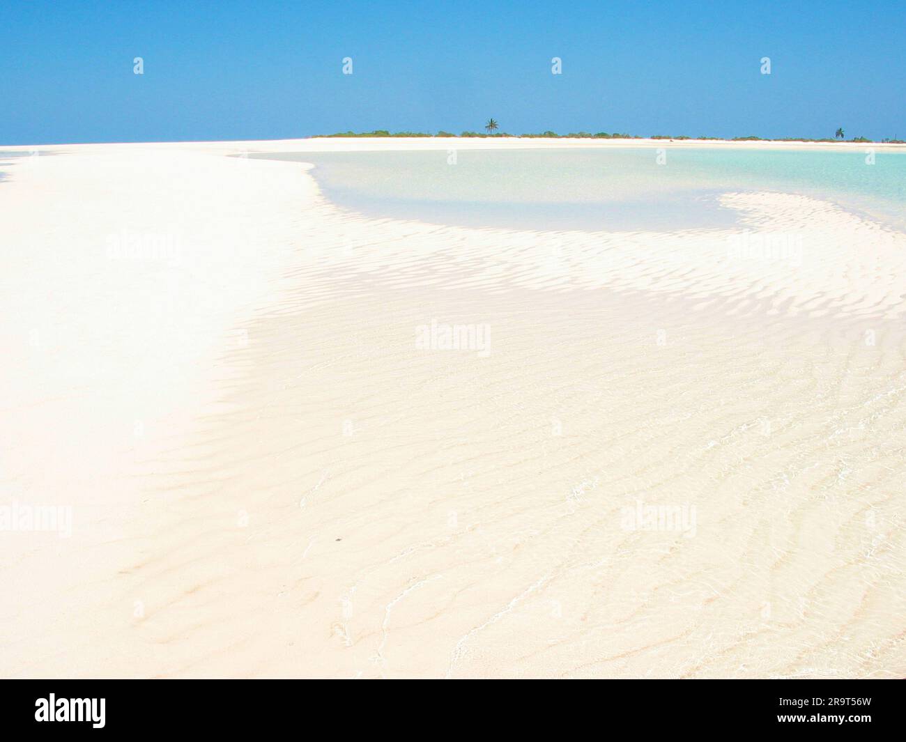 Pink and white coral sand and remote single coconut palm on the motu ...