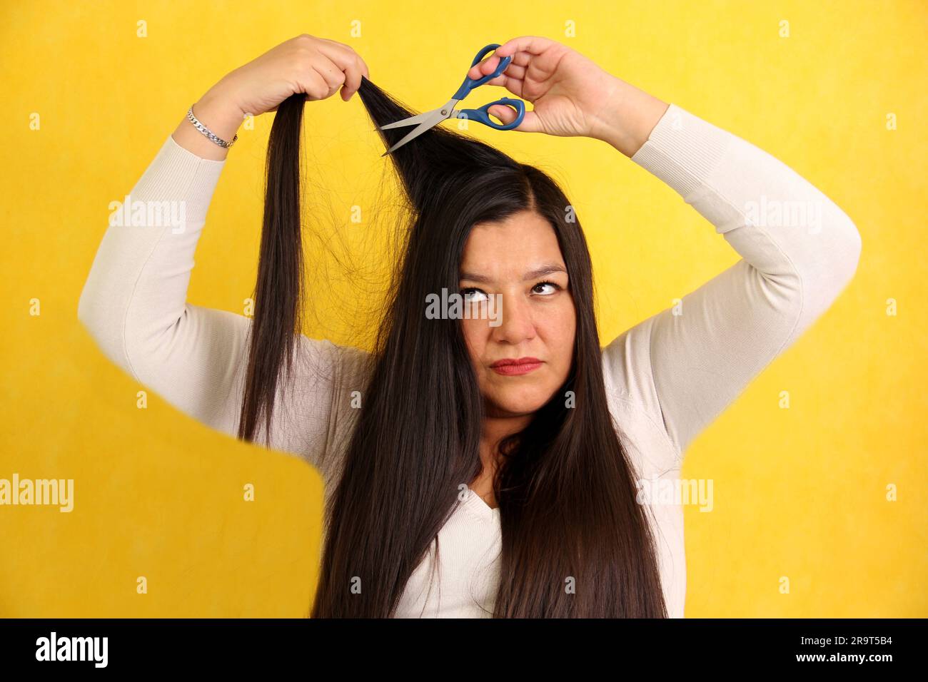 Long scissors diy hi-res stock photography and images - Alamy