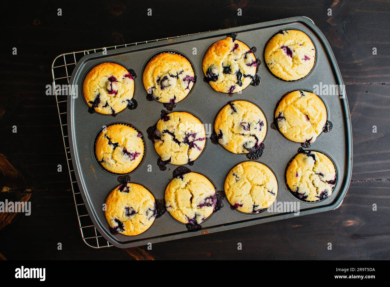 Overhead View of Blueberry Muffins in a Muffin Pan: Freshly baked ...