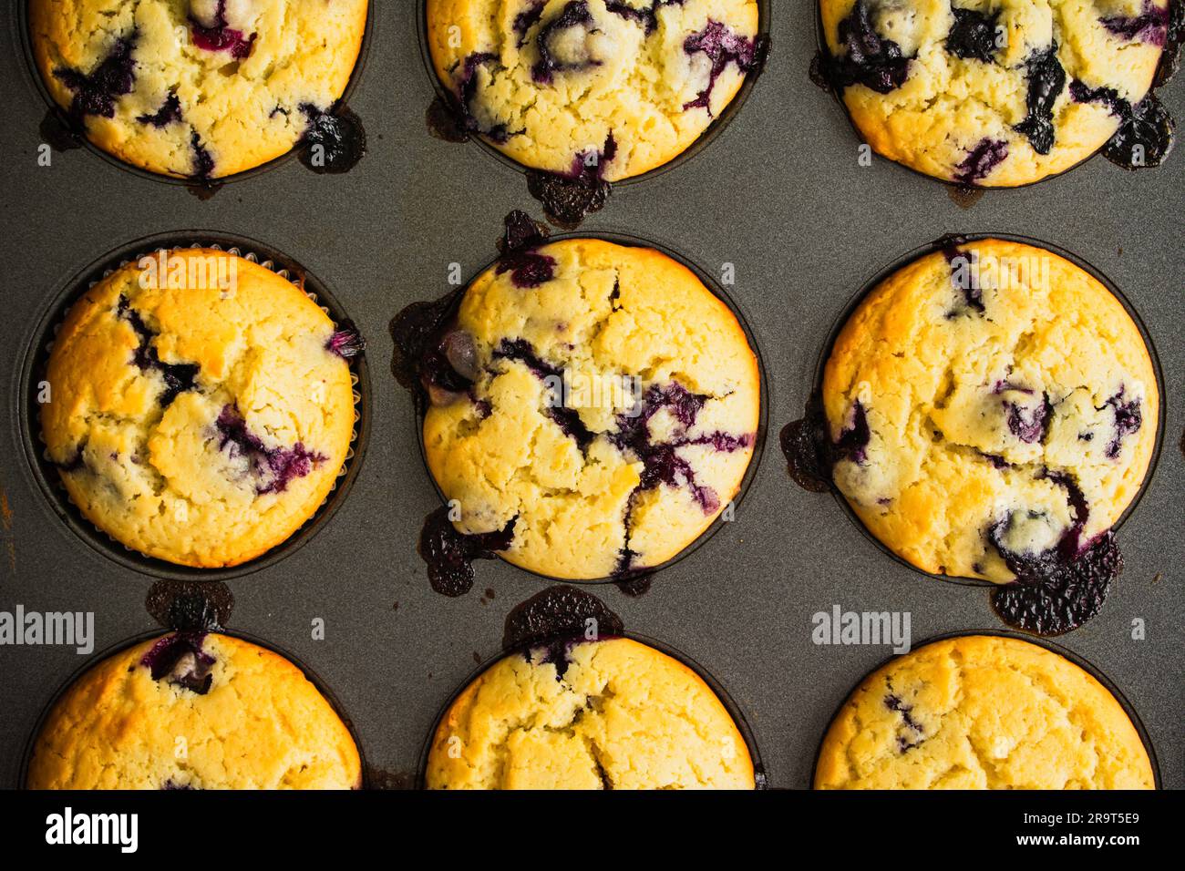 Close-up Overhead View of Blueberry Muffins in a Muffin Pan: Freshly ...