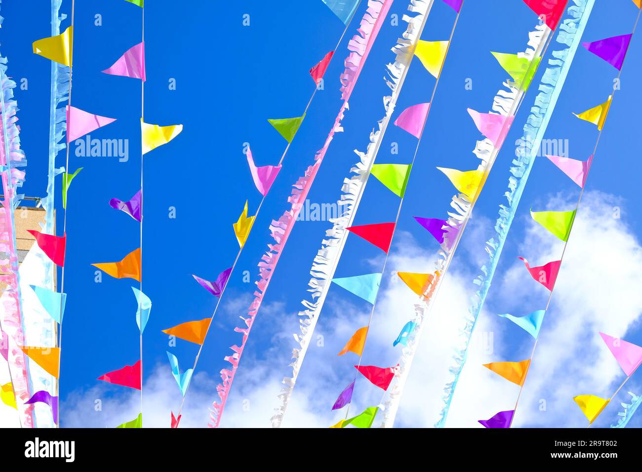 Vivid saturated triangle pennants / flags in all colors of the rainbow ...