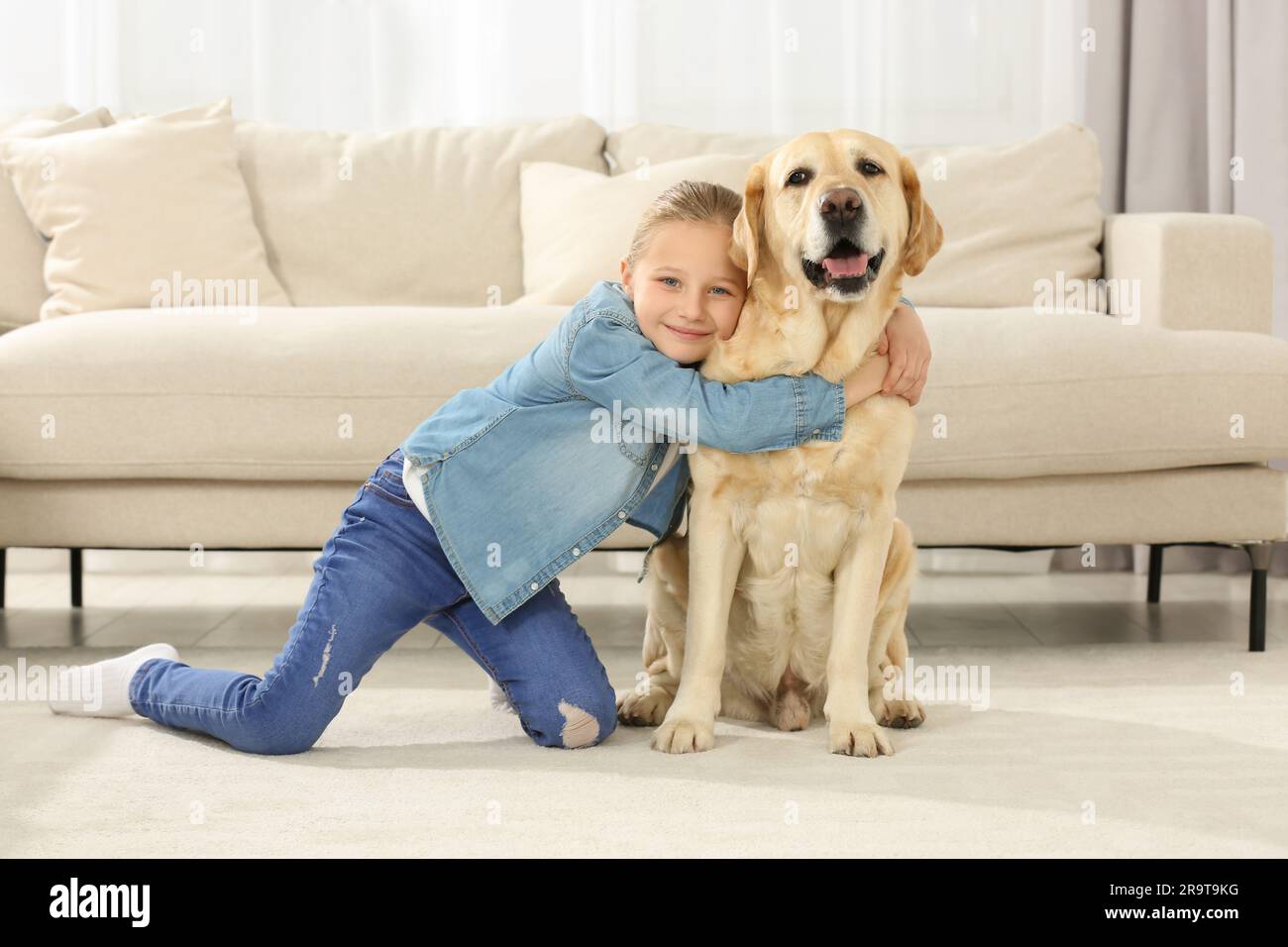 Cute child hugging her Labrador Retriever on floor at home. Adorable ...