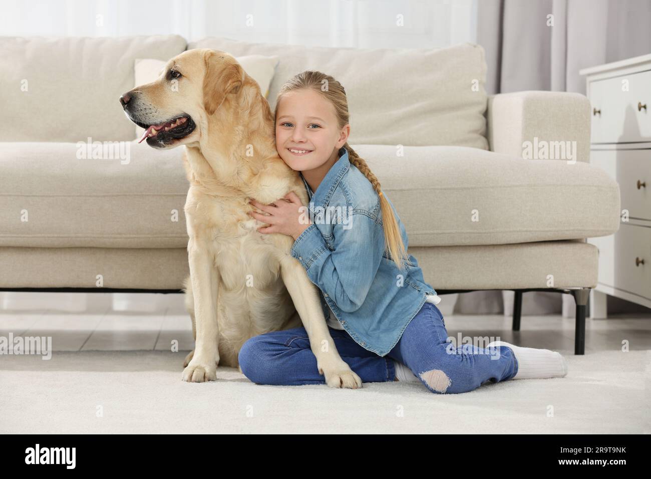 Cute child hugging her Labrador Retriever on floor at home. Adorable ...