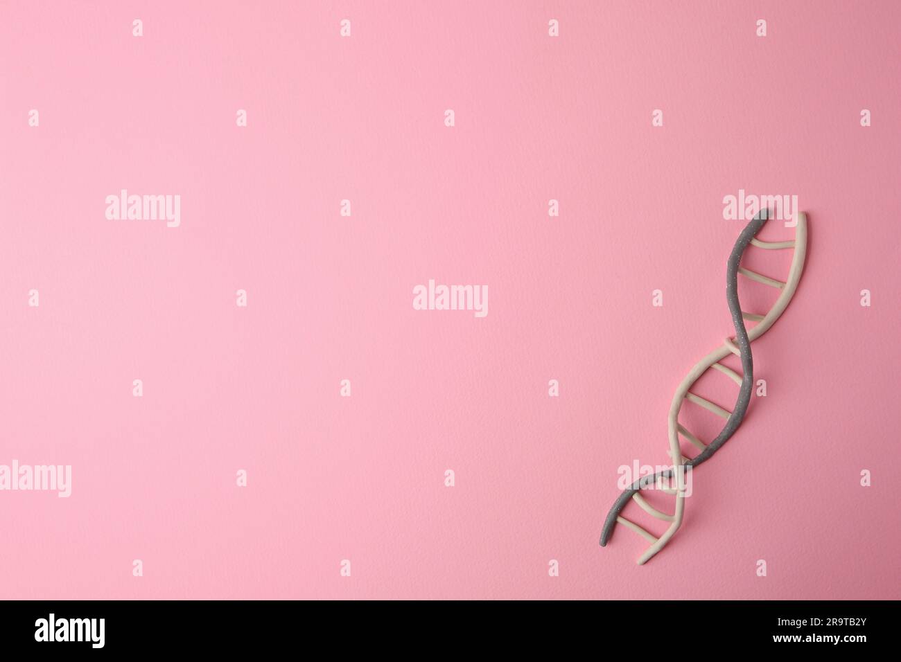 Plasticine model of DNA molecular chain on pink background, top view ...