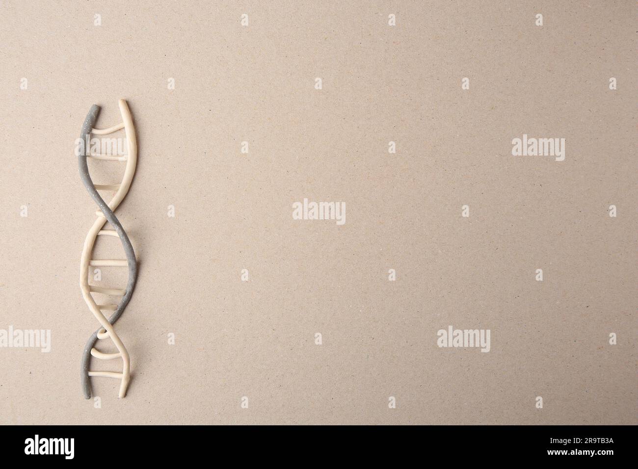 Plasticine model of DNA molecular chain on beige background, top view ...