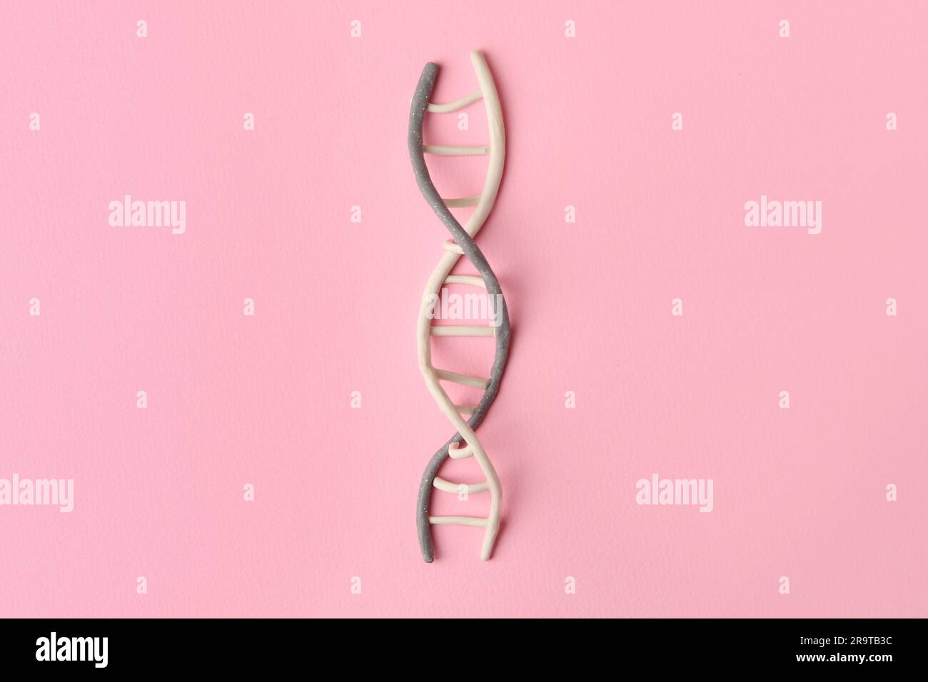 Plasticine model of DNA molecular chain on pink background, top view ...