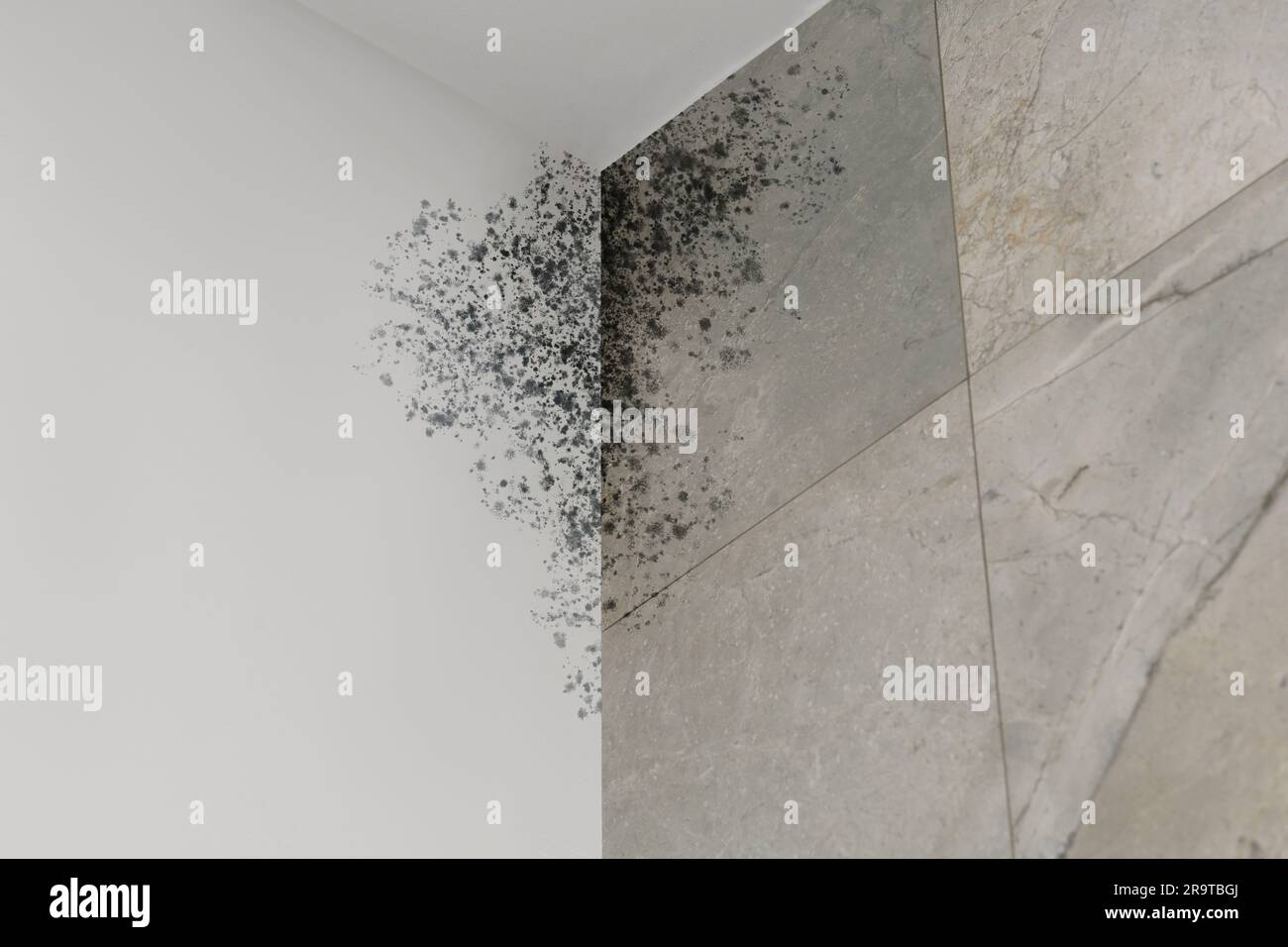 White walls and gray tiles hi-res stock photography and images - Alamy