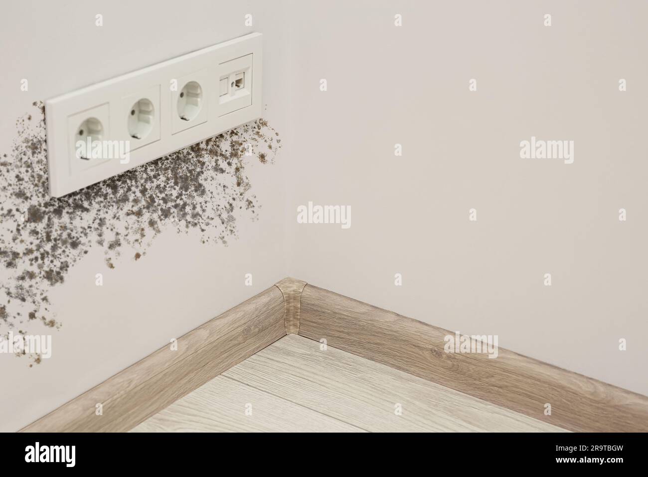 Mold around sockets on wall in room Stock Photo - Alamy