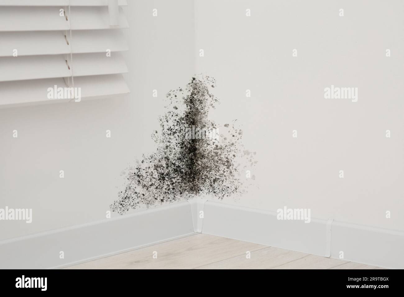 Wall affected black mold hi-res stock photography and images - Alamy