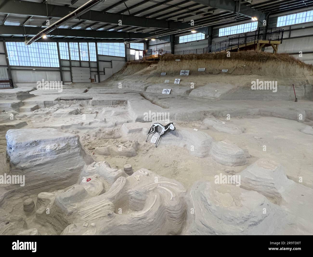 Royal, NE USA - May 13, 2023: Fossils in the Rhino Barn Ashfall Fossil ...