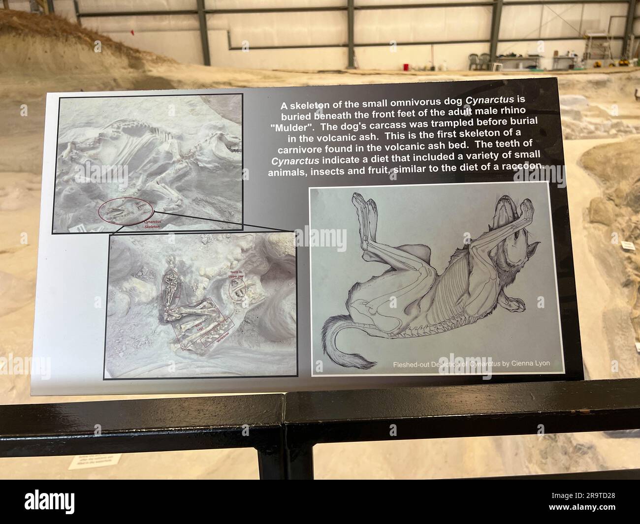 Royal, NE USA - May 13, 2023: Dog informational sign in the Rhino Barn ...