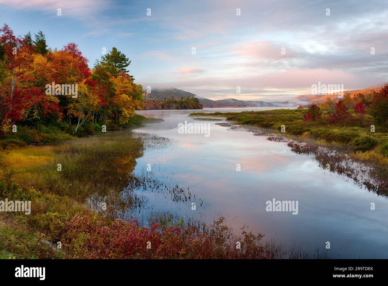 Lewey hi-res stock photography and images - Alamy