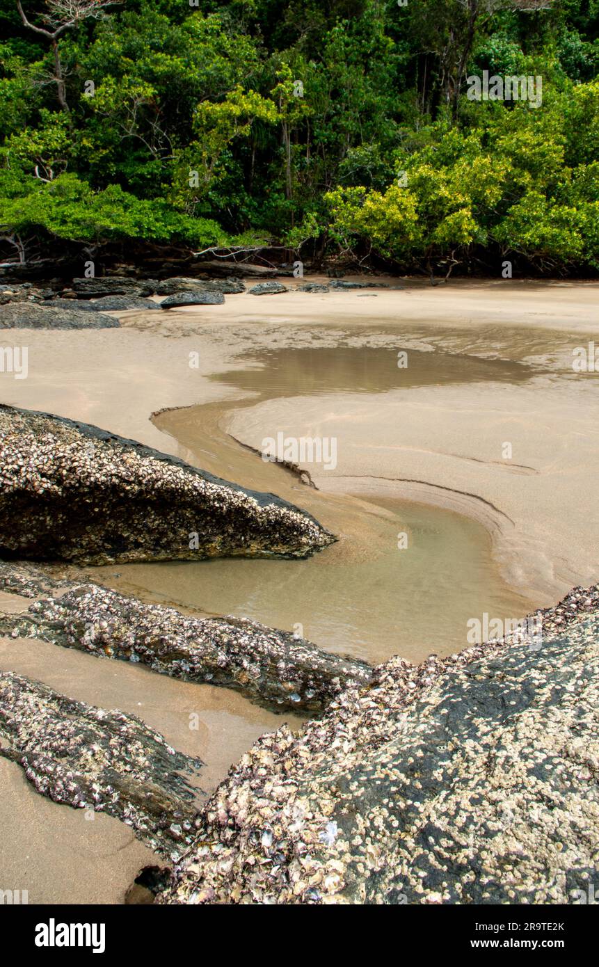 Beach Scene, Etty Bay Quensland, Australia Stock Photo - Alamy