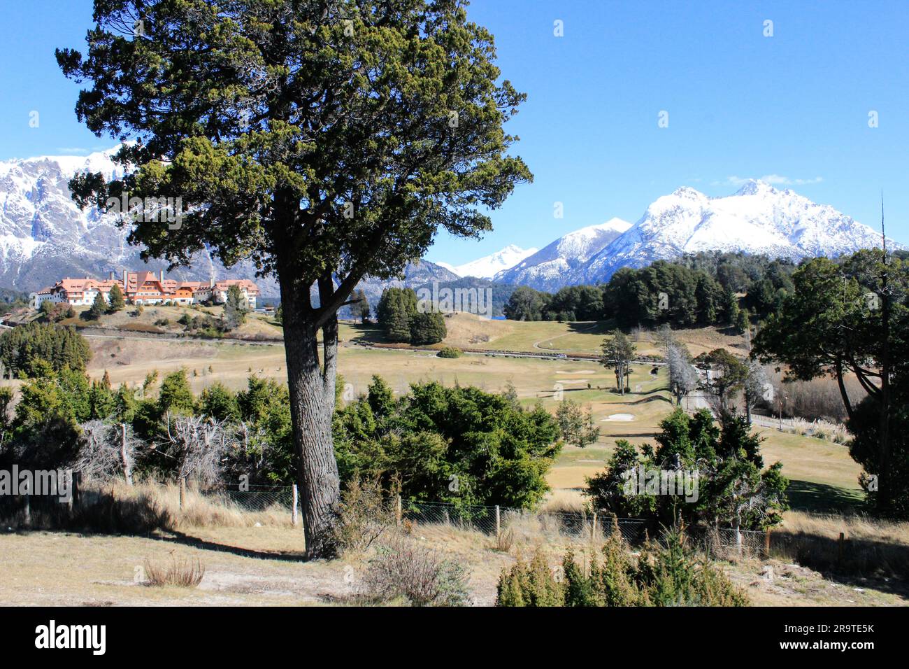 Landscape of Patagonia in Argentina, formed by forest, mountains and in ...