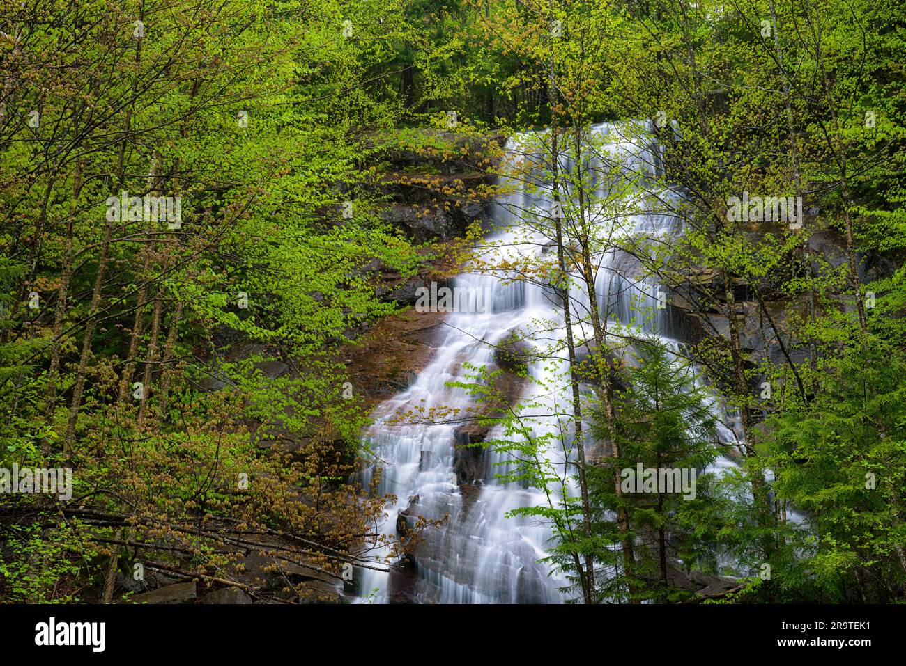 Death Brook Falls in Adirondack Mountains, New York, USA Stock Photo ...