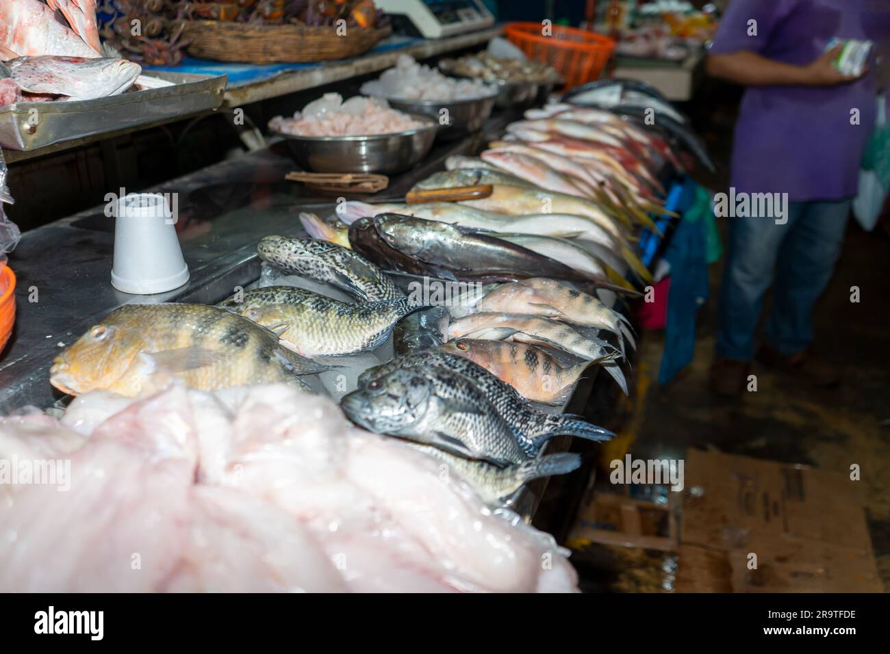 Seafood market in Latin America. Fresh fish displayed outdoors at a ...