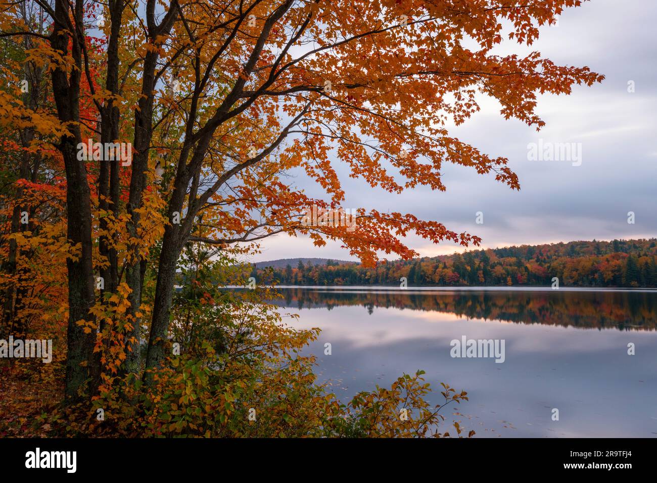 Colorful trees along Lake Durant in autumn, Adirondack Mountains, New ...