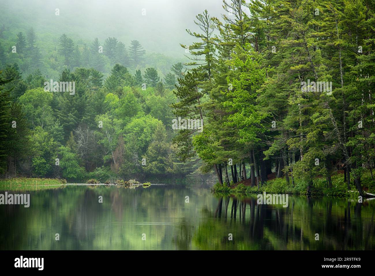 Spring on Long Lake, Adirondack Mountains, New York, USA Stock Photo ...