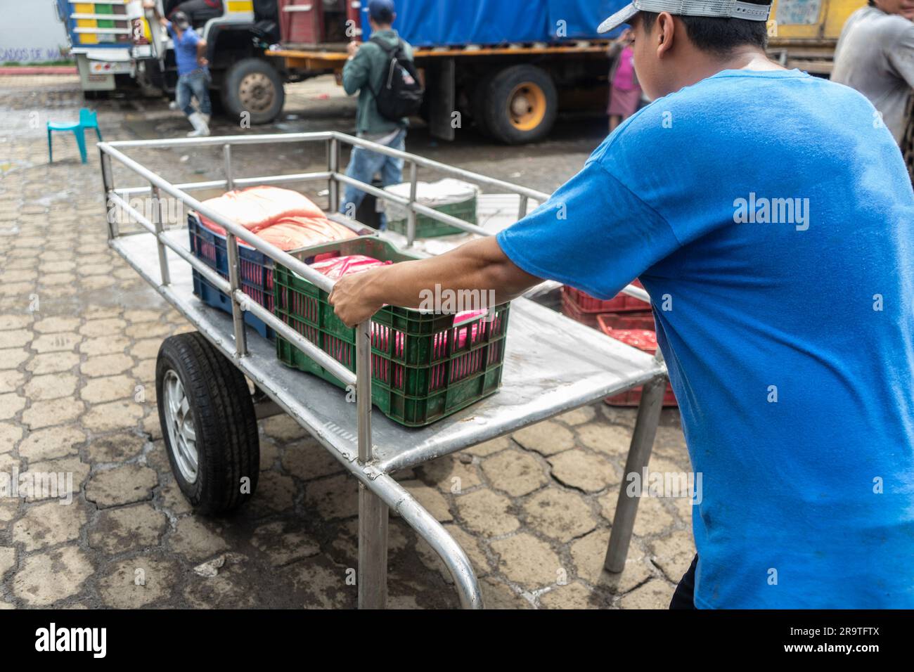 Unrecognizable retailer seen from behind leading a cart through the ...