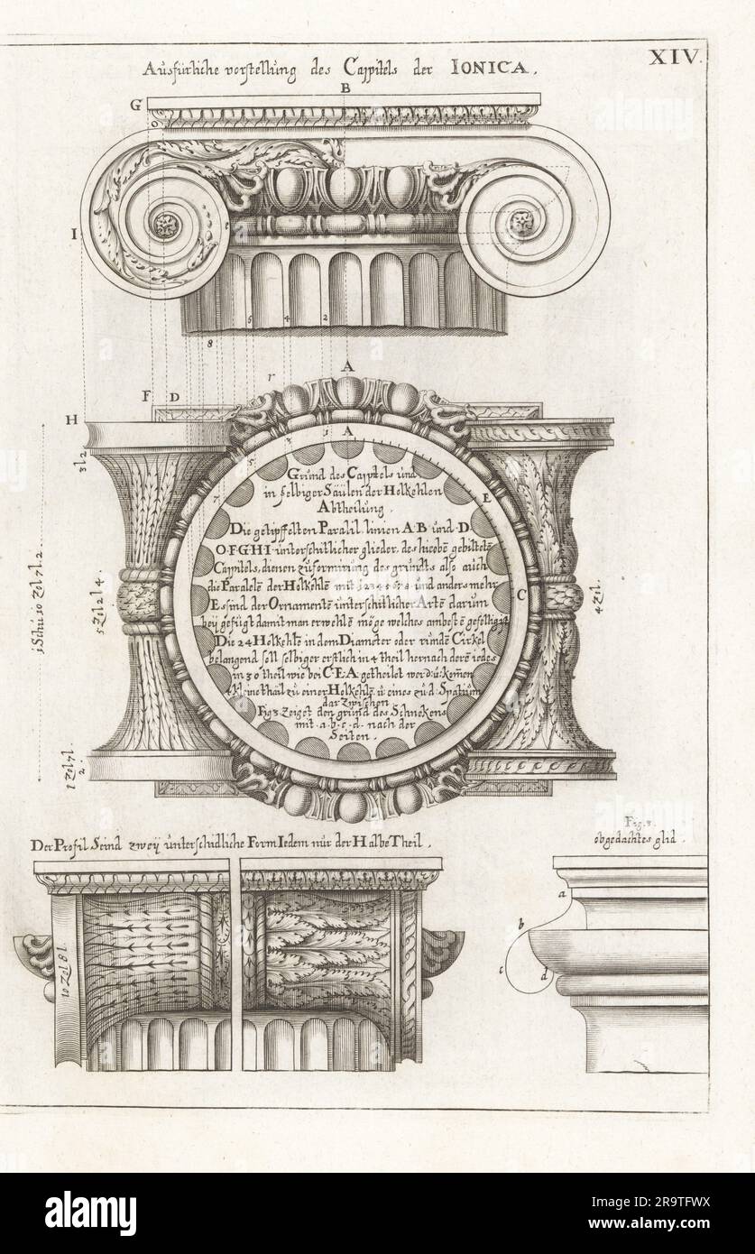 Ionic order capital. Ionica. Jonischen Kapitell. Copied from Abraham ...