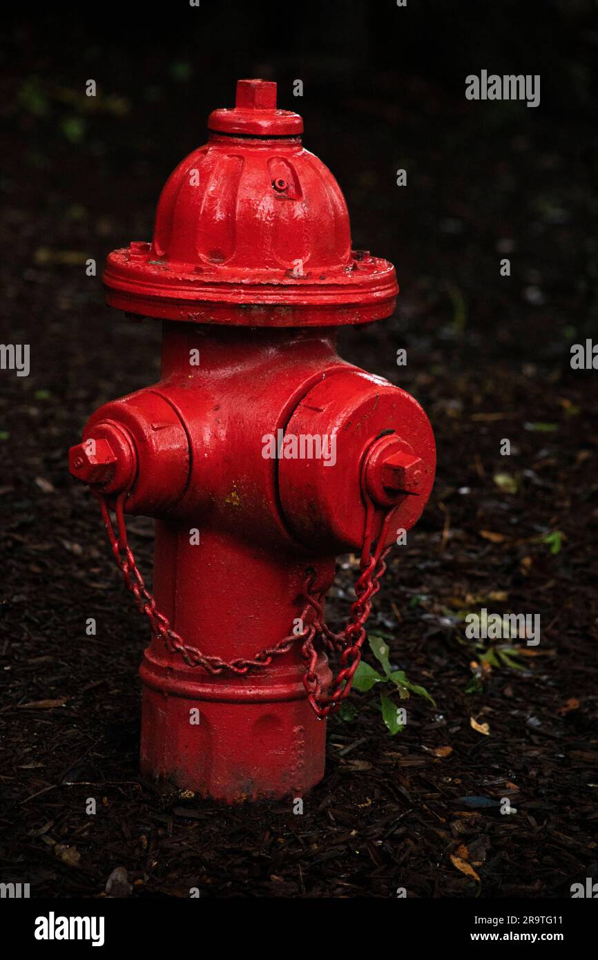 fire hydrant on a dark background, used for fire fighters to get water ...