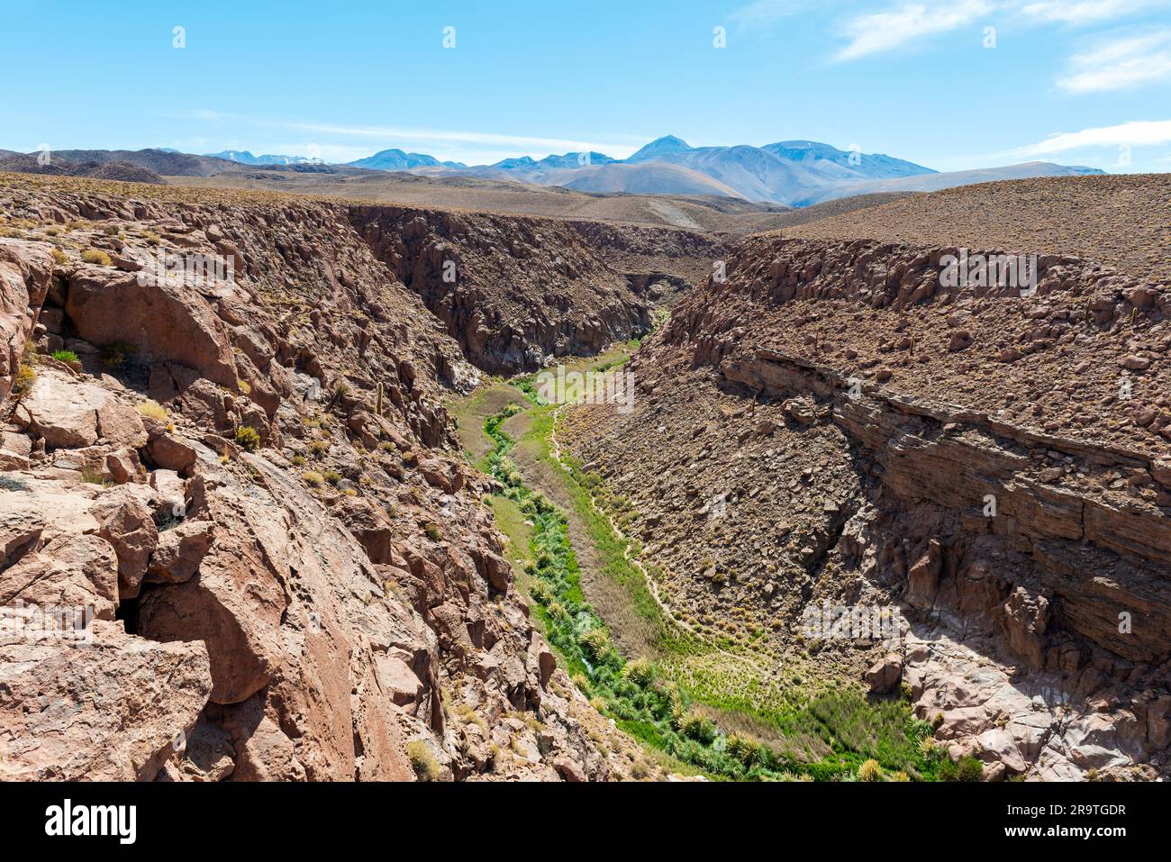 San Pedro de Atacama River in canyon, Atacama desert, Chile Stock Photo ...