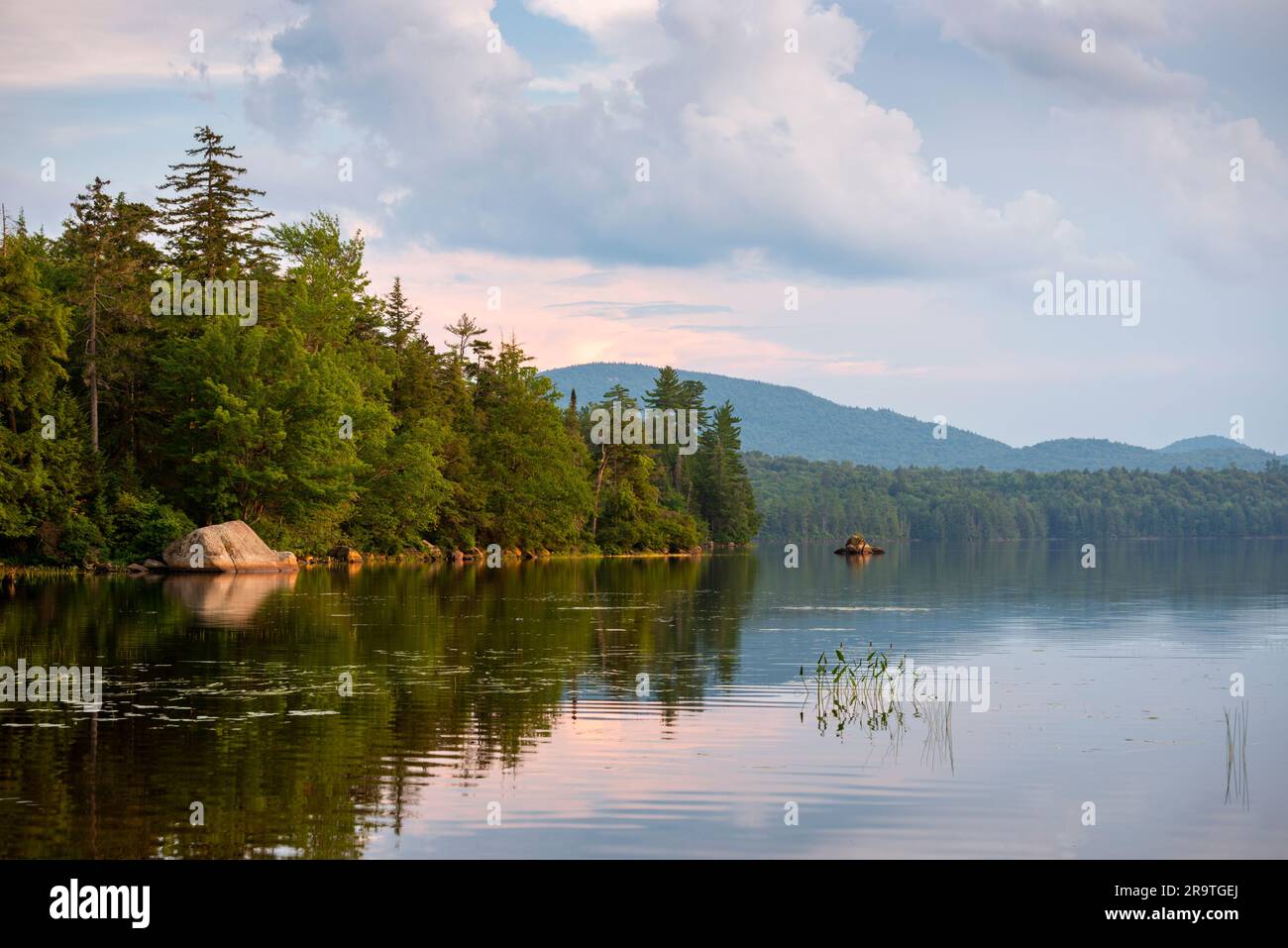 South Pond on summer evening, Adirondack Mountains, New York, USA Stock ...