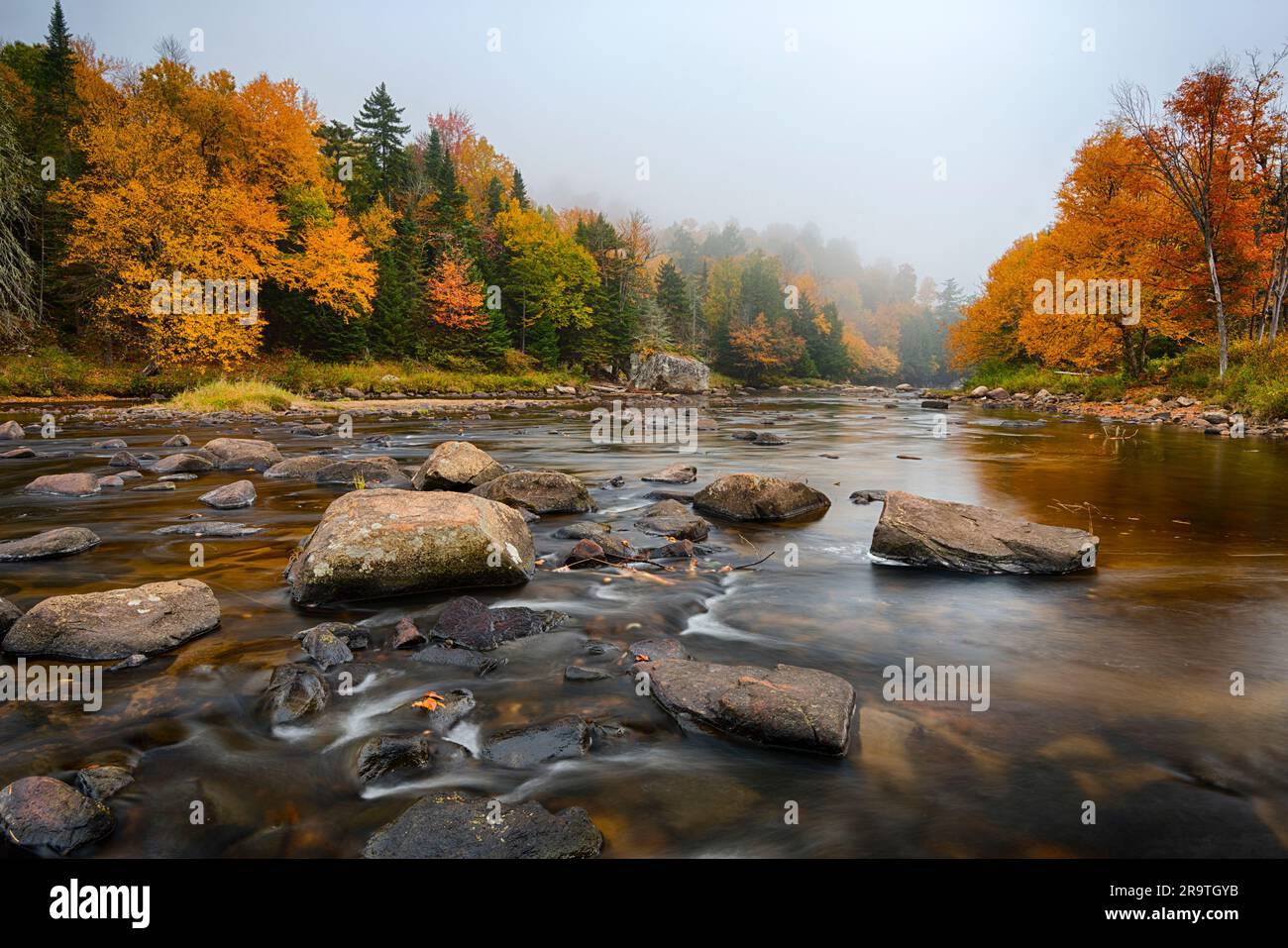 Fall foliage along Ausable River, Adirondack Mountains, New York, USA ...