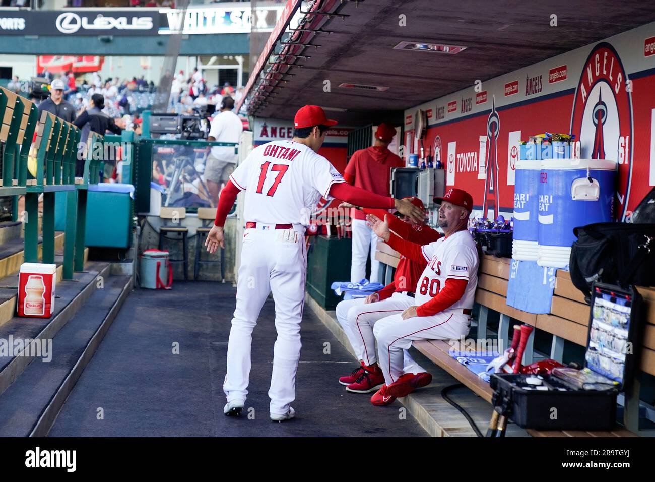Los Angeles Angels designated hitter Shohei Ohtani (17) greets first ...