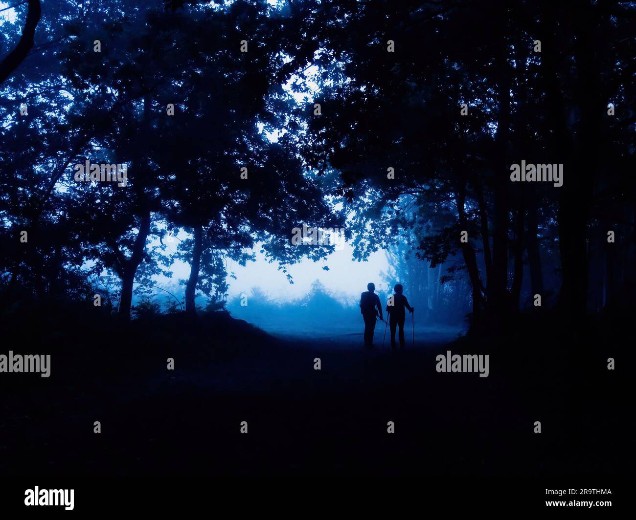 Two pilgrims are seen walking in the middle of the forest during the ...