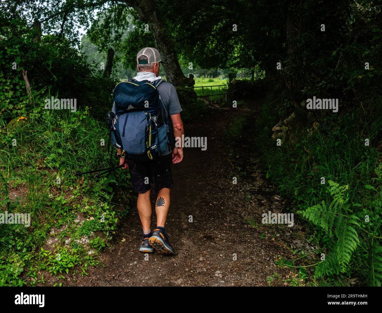 A pilgrim with a tattoo of a shell on his leg is seen walking through a ...