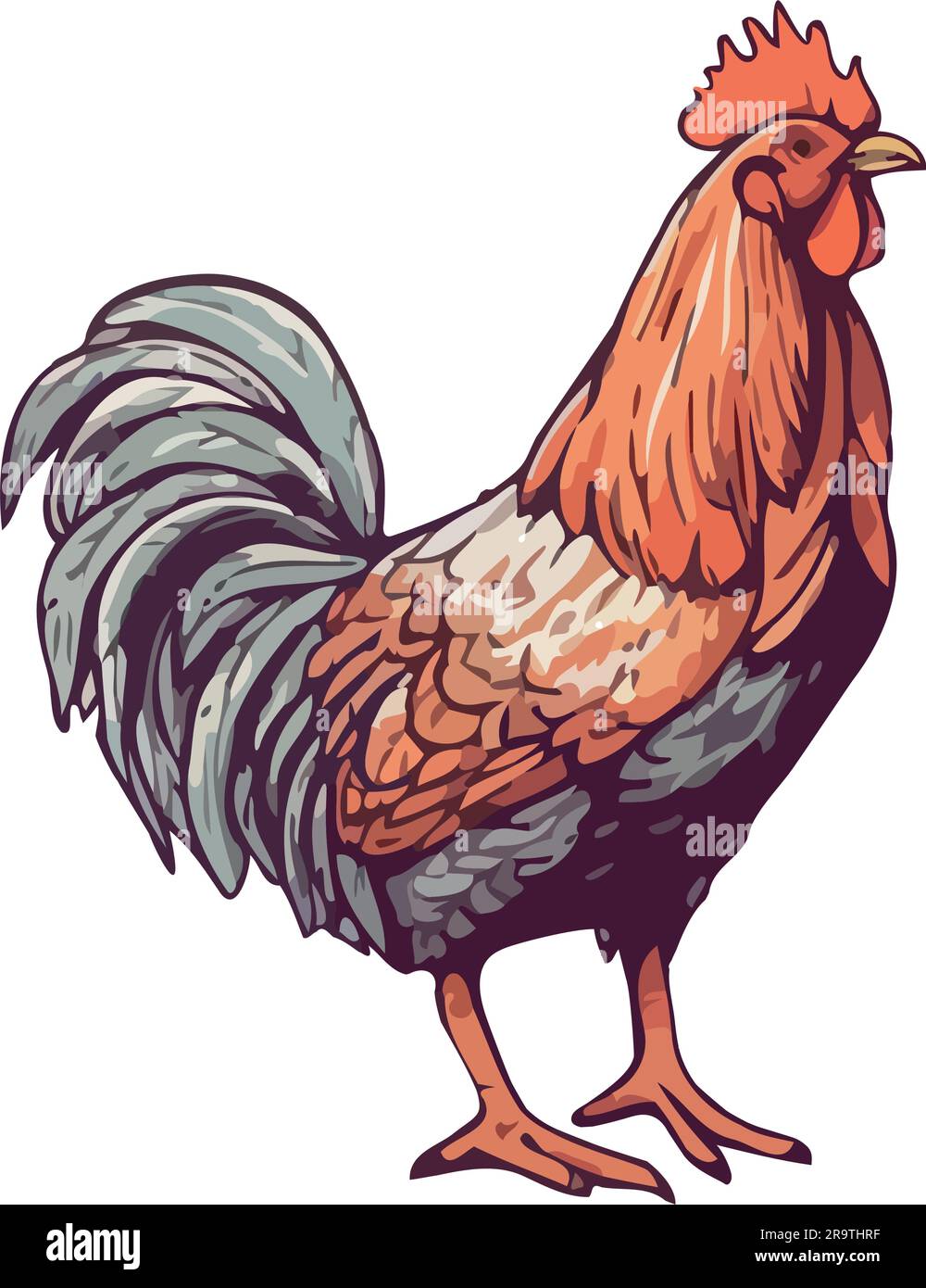 Livestock free range Stock Vector Images - Alamy