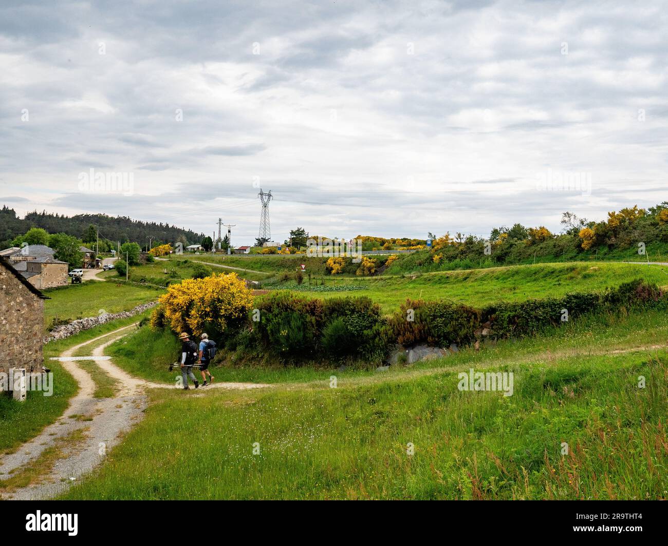 Two pilgrims are seen walking while having a little talk. The Camino de ...