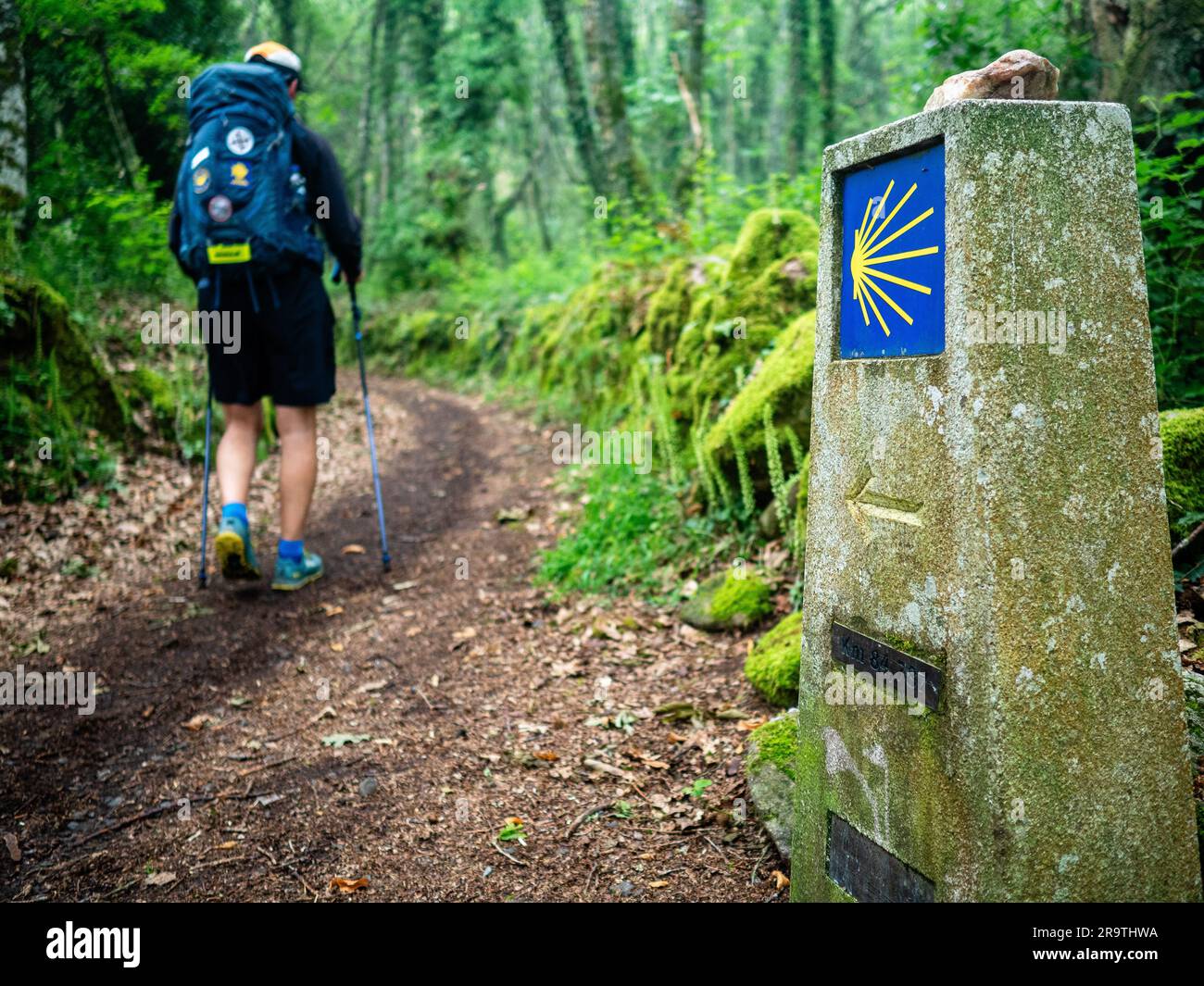 A pilgrim is seen passing by a stone mark. The Camino de Santiago (the ...