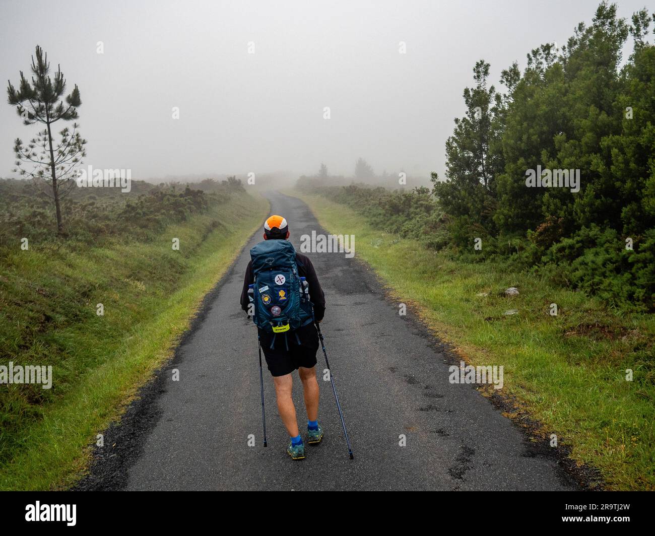 A pilgrim is seen walking in the middle of a heavy fog. The Camino de ...