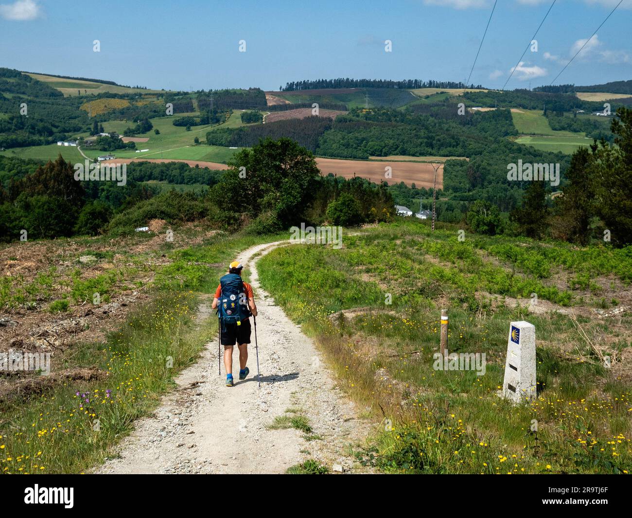 A pilgrim is seen walking on a very warm and sunny day. The Camino de ...