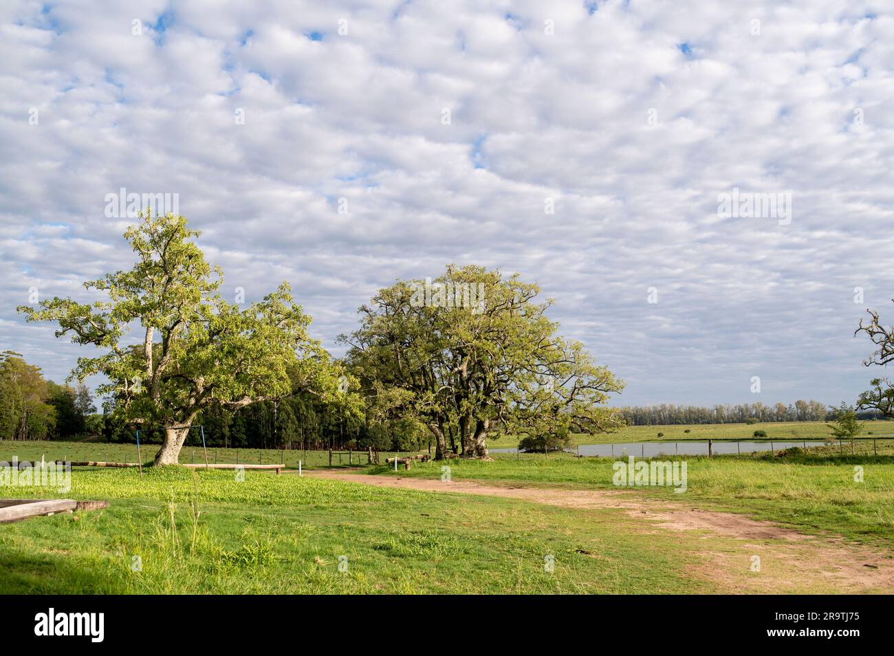 Countryside landscape at daytime, clouds and sun Stock Photo - Alamy