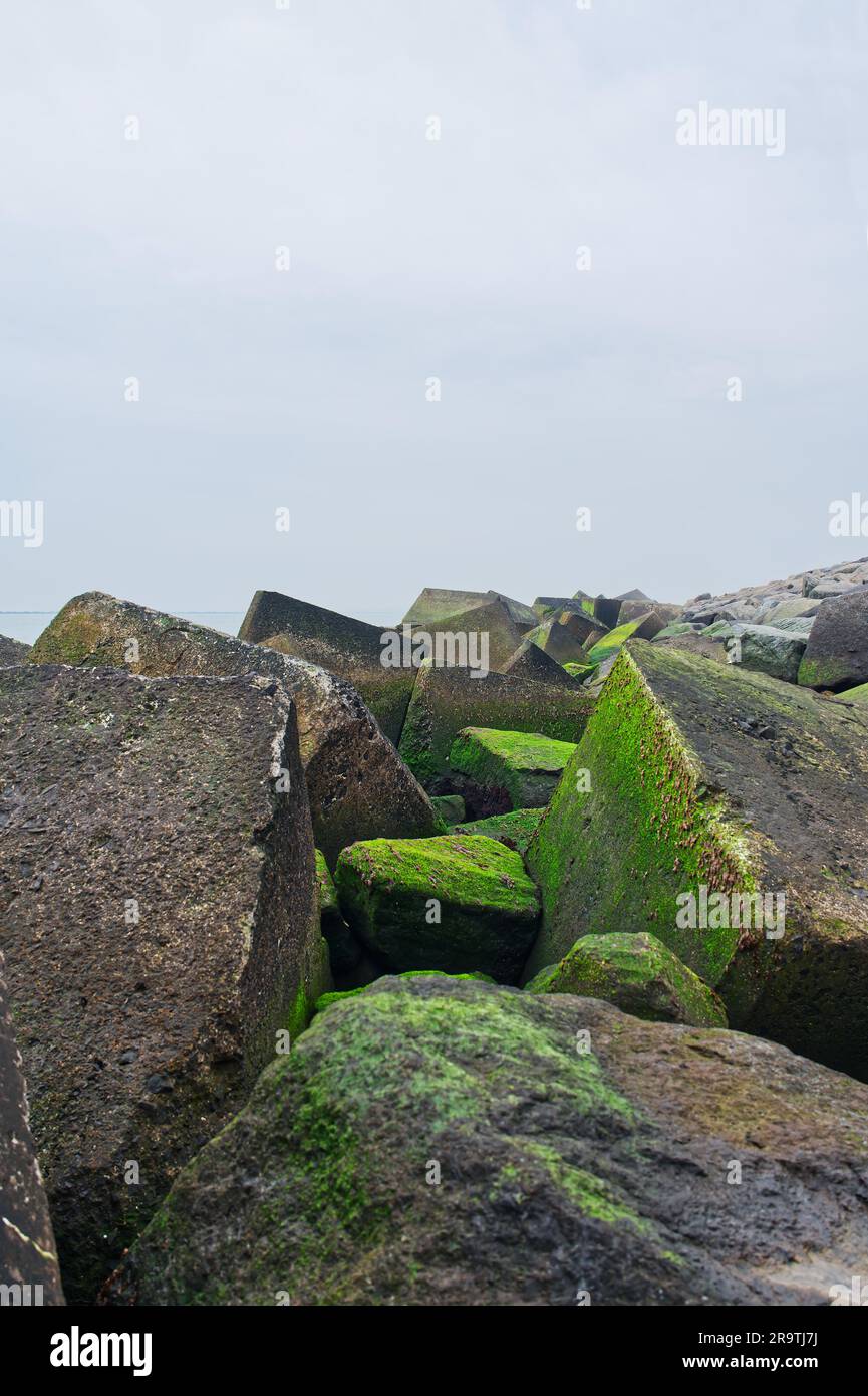 Massive concrete breakwaters on Sea coast. protect the coast from ...