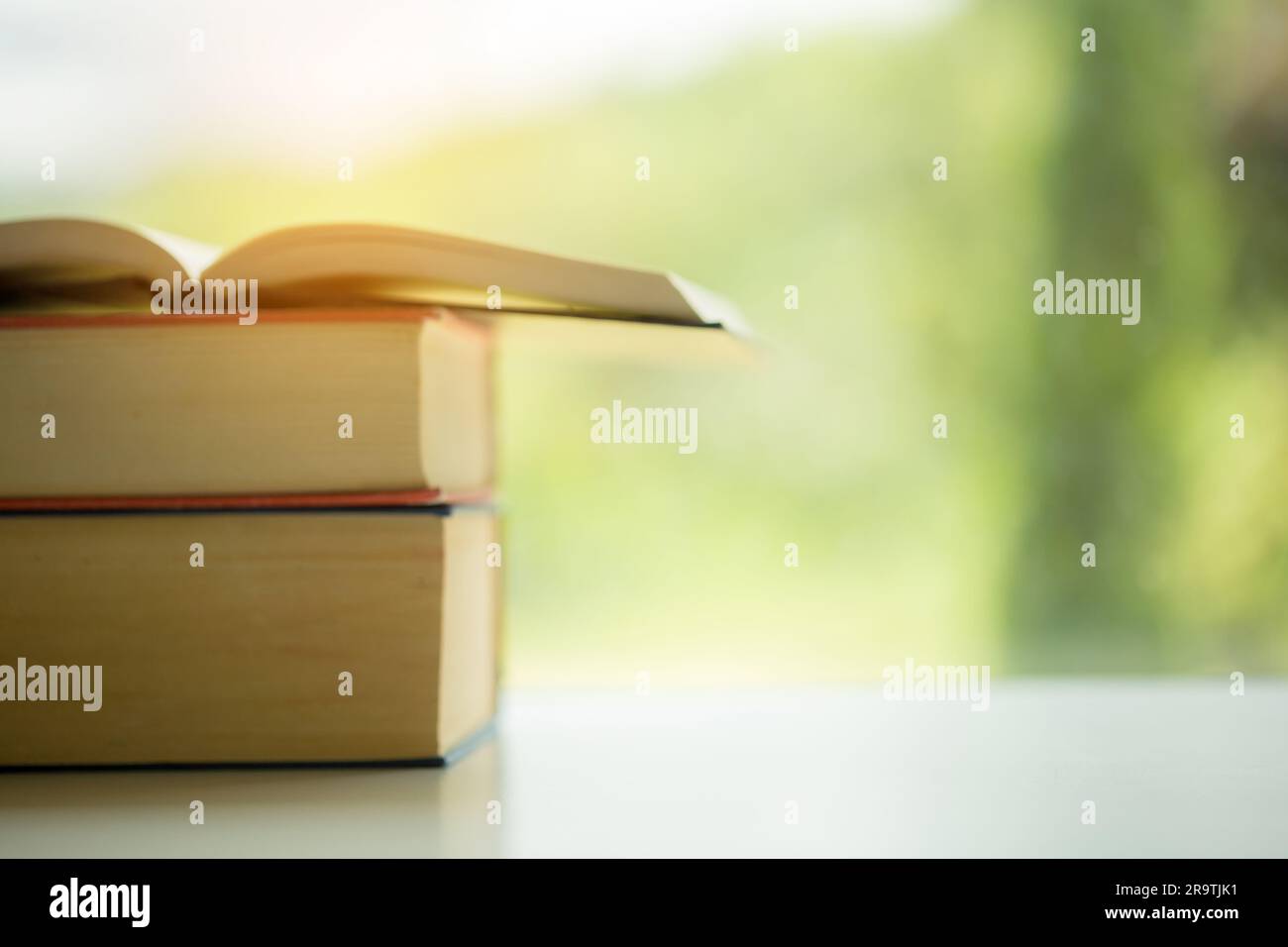 Object education green nature background with stack of ancient books or ...