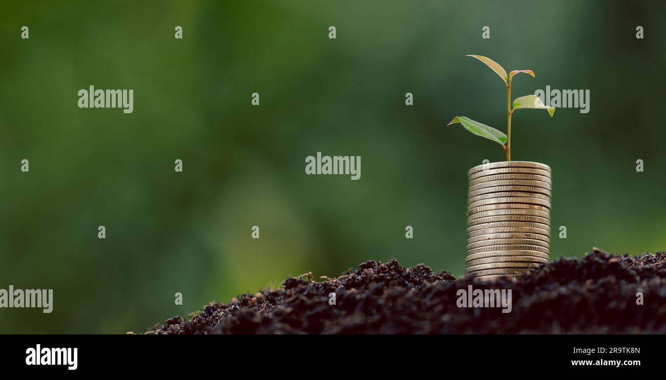 Money coin stack with seedling plant growing on green nature ...