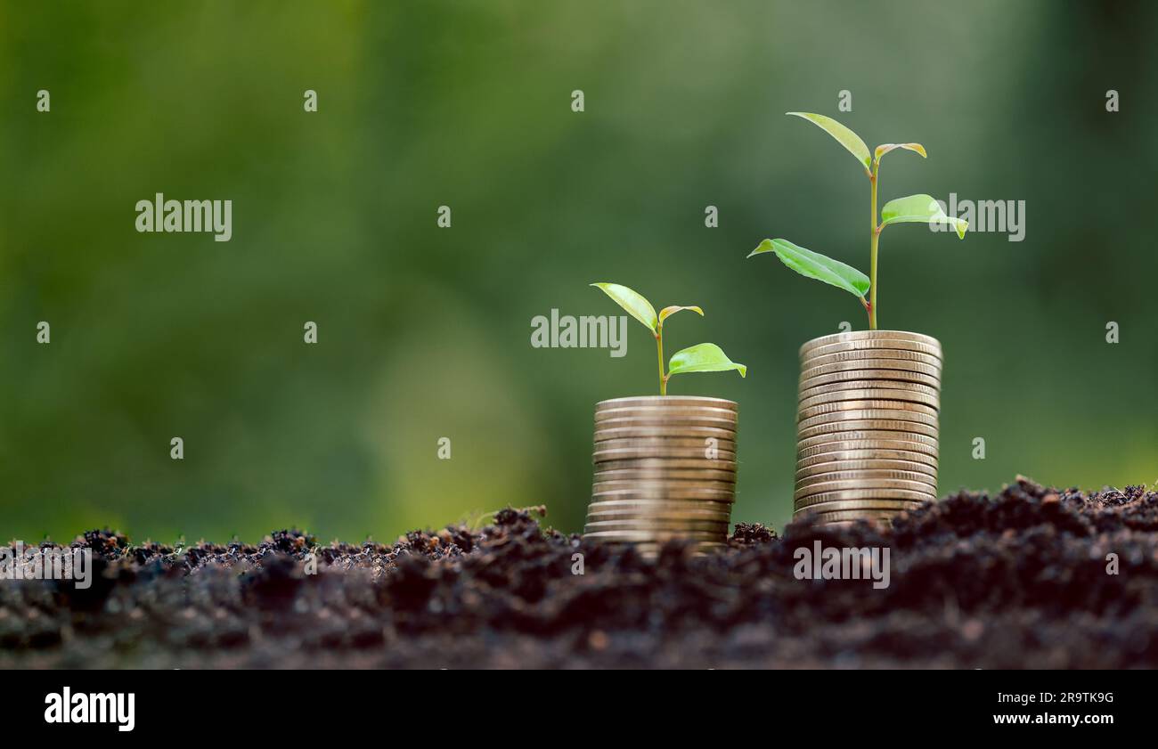 Money coin stack with seedling plant growing on green nature ...