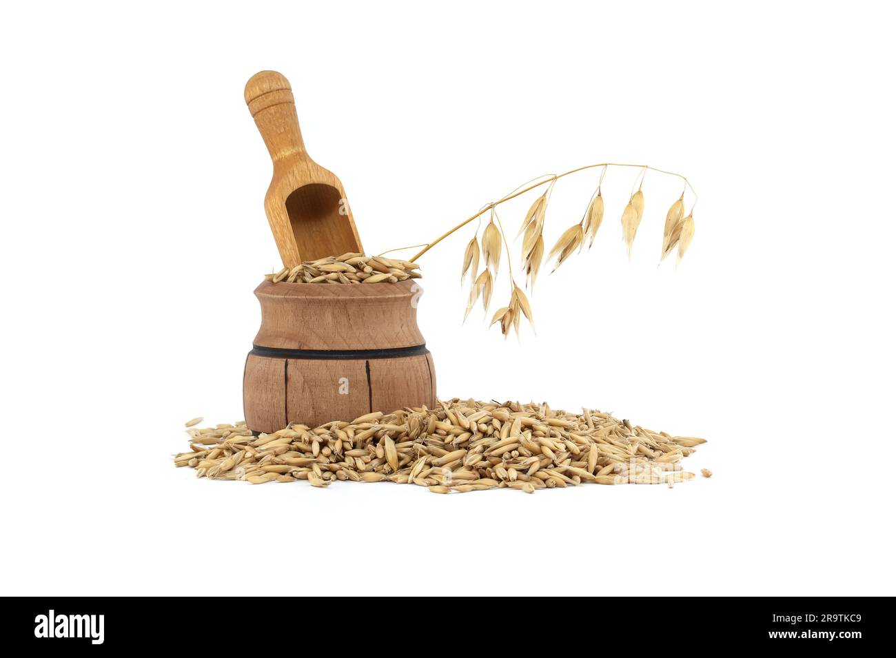 Heap of organic oat grains with hulls or husks isolated on a white ...