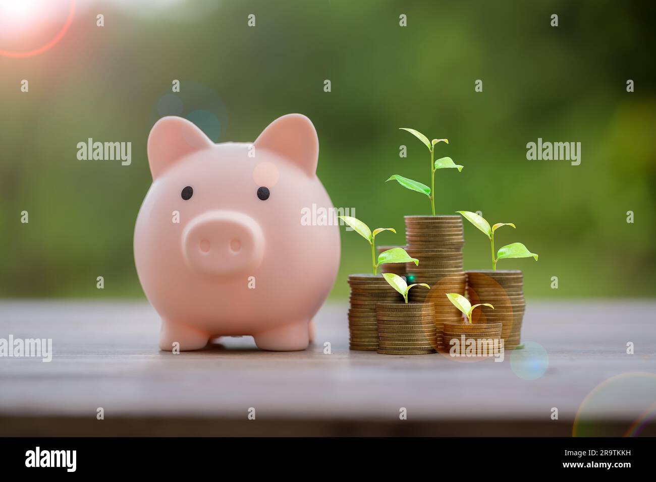 Money coin stack growing graph with piggy bank saving concept. business ...