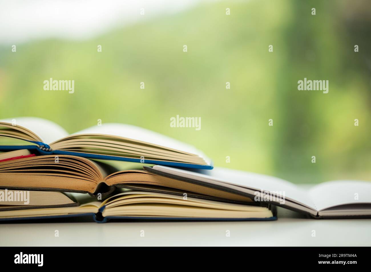 Object education green nature background with stack of ancient books or ...